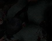 Arno Kruger | Historica Wiki | Fandom