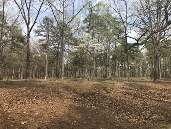 Battle of Cold Harbor | Historica Wiki | Fandom