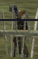 Solomon F. Louderback | Historica Wiki | Fandom