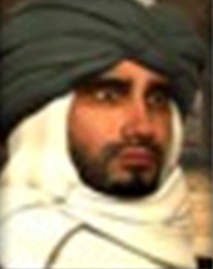 Al-Mustanjid Ahmad | Historica Wiki | Fandom