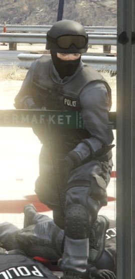 Merton B. Troyer | Historica Wiki | Fandom