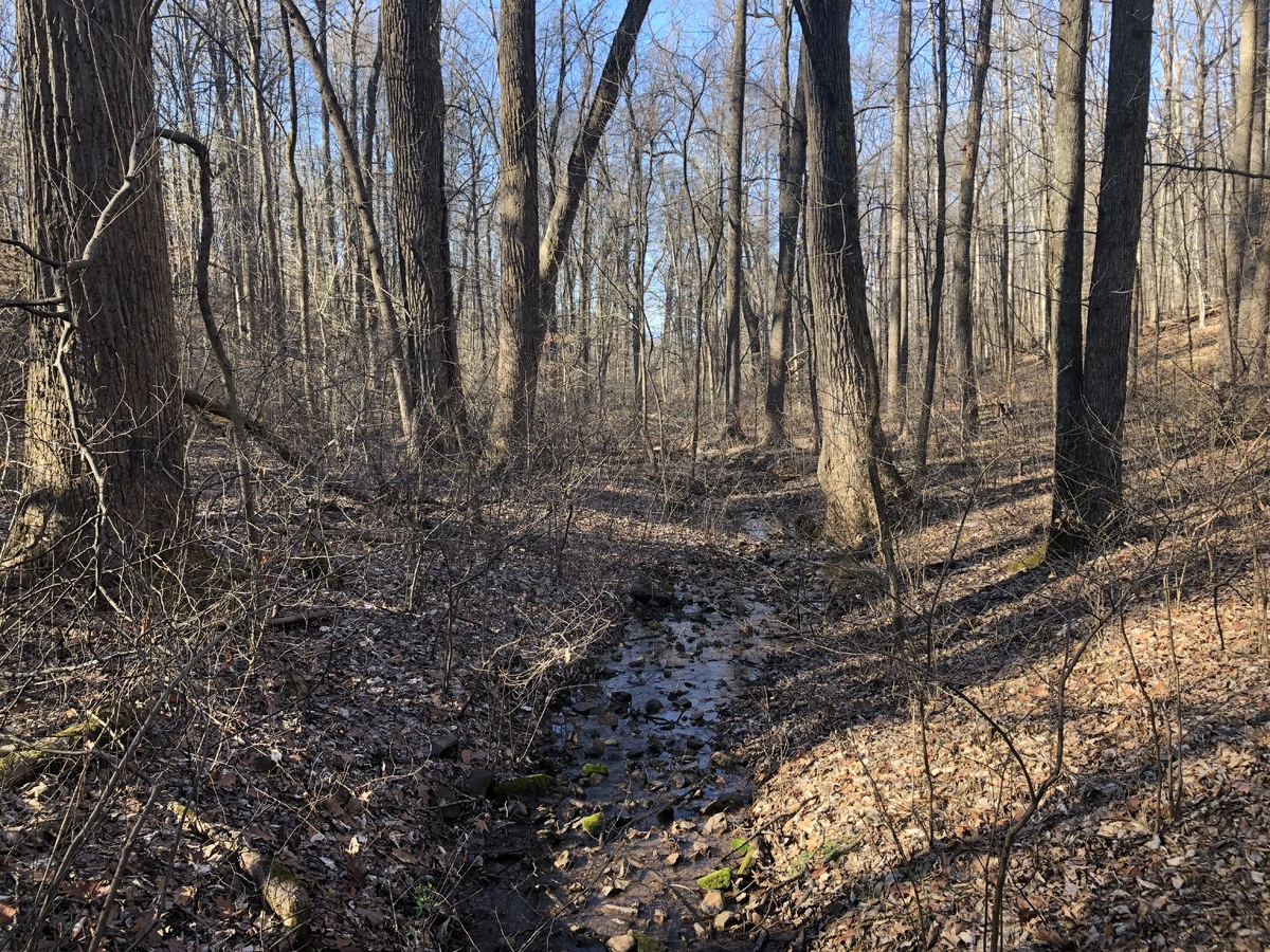Poplar Run | Historica Wiki | Fandom