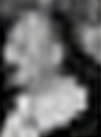 I. Codreanu | Historica Wiki | Fandom