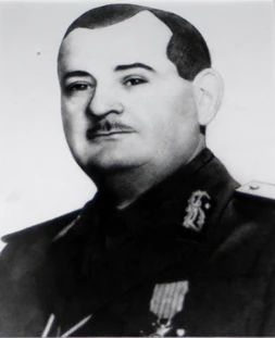 Ilie Steflea | Historica Wiki | Fandom