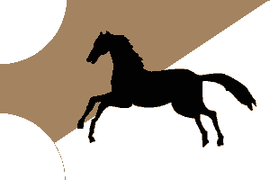 Hafsid dynasty | Historica Wiki | Fandom