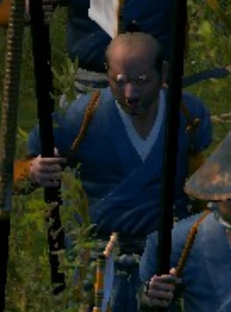 Nasu Harutoshi | Historica Wiki | Fandom