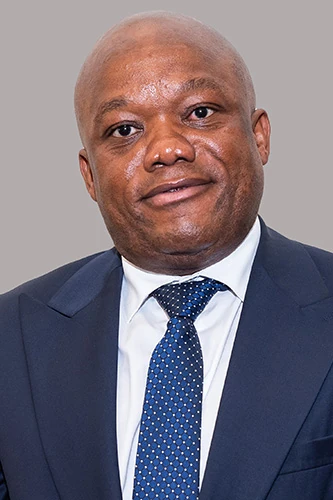 Sihle Zikalala | Historica Wiki | Fandom