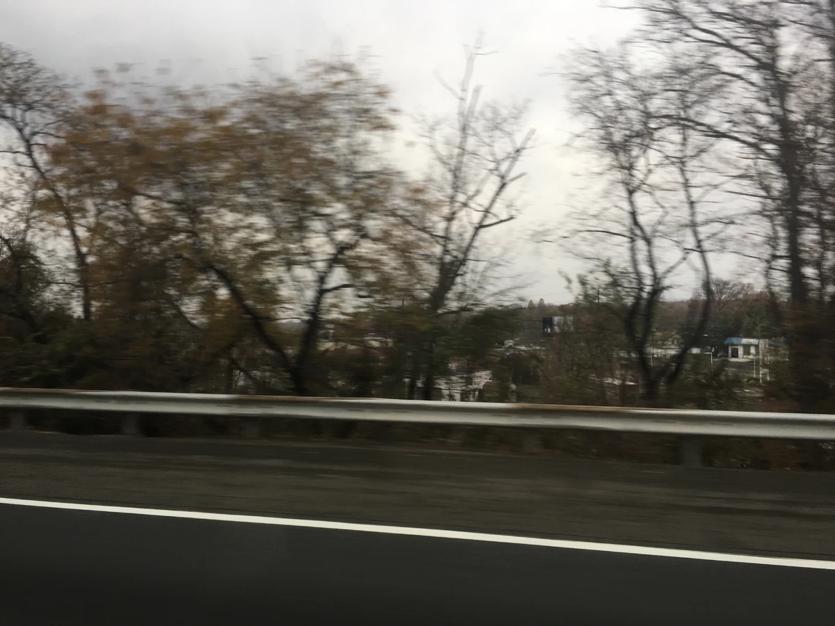 Magnolia, New Jersey | Historica Wiki | Fandom