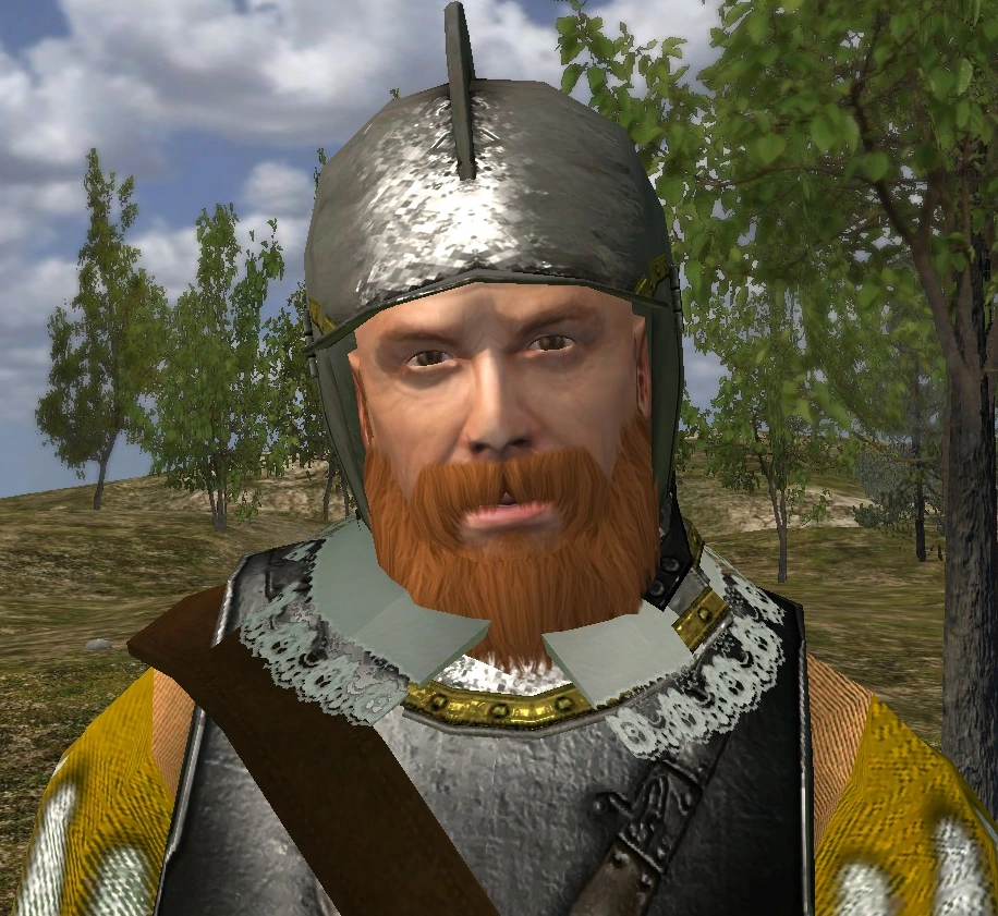 Owen Roe O'Neill | Historica Wiki | Fandom