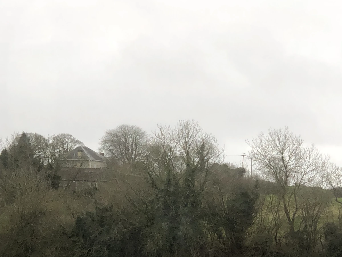 Nimlet | Historica Wiki | Fandom