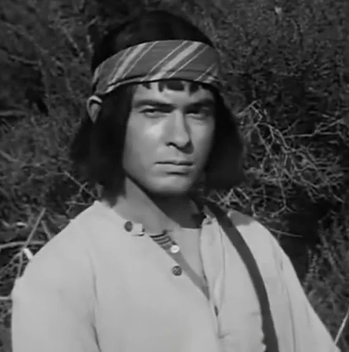 Tai-Ho | Historica Wiki | Fandom