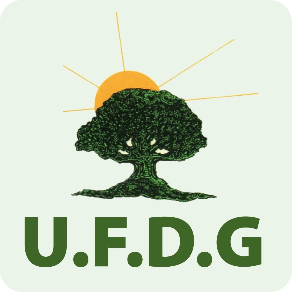Union of Democratic Forces of Guinea | Historica Wiki | Fandom
