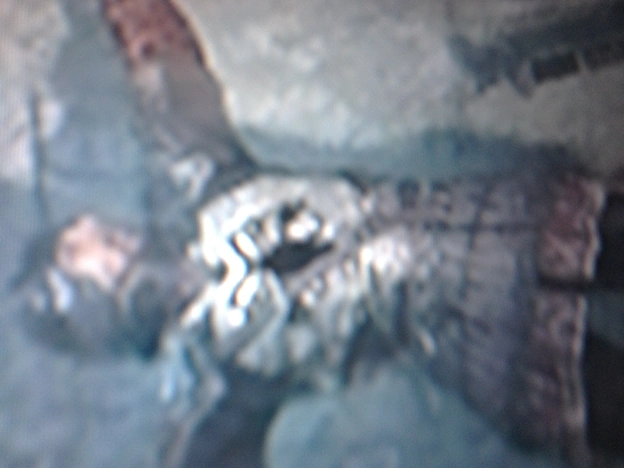 Asopus Zika | Historica Wiki | Fandom