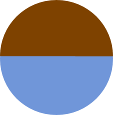 51st Battalion, Far North Queensland Regiment | Historica Wiki | Fandom