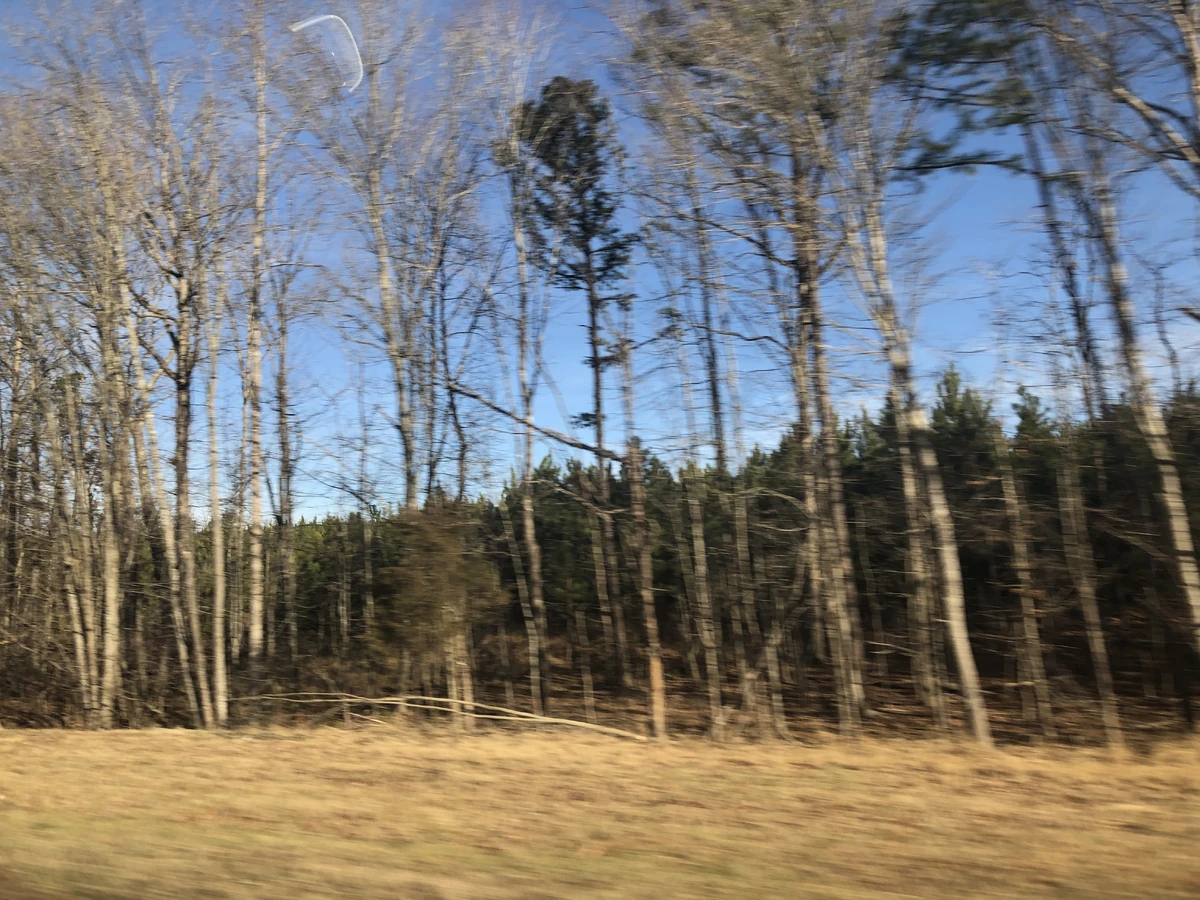 Bybee, Virginia | Historica Wiki | Fandom