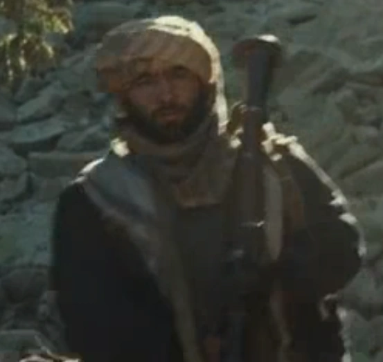 Alamzeb Alvi | Historica Wiki | Fandom