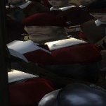 Alexander Newman | Historica Wiki | Fandom