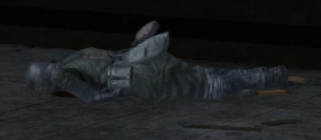 Alex Niedermeyer | Historica Wiki | Fandom