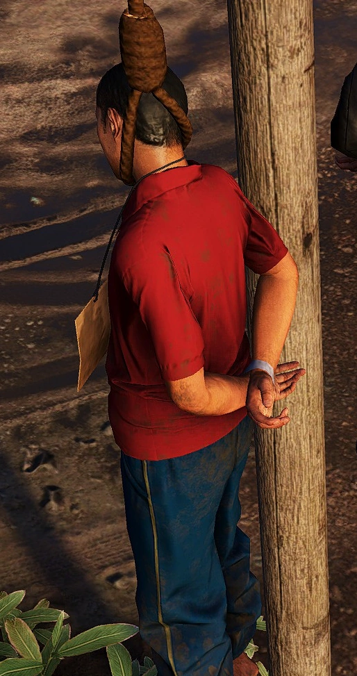 Timta Rimayhuaman Cancha | Historica Wiki | Fandom