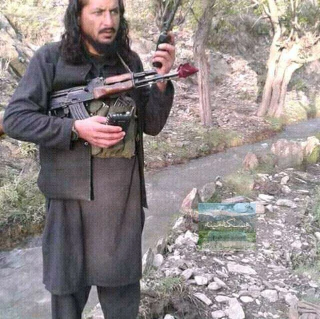 Sardar Wali | Historica Wiki | Fandom