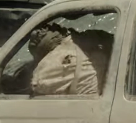 Raamiz al-Kaleel | Historica Wiki | Fandom