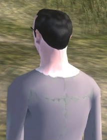 Sylwester Olkowski | Historica Wiki | Fandom