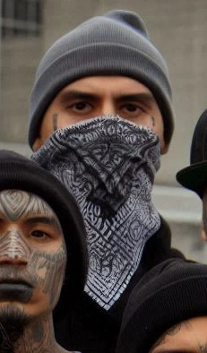 Davíd Chavez Ulloa | Historica Wiki | Fandom