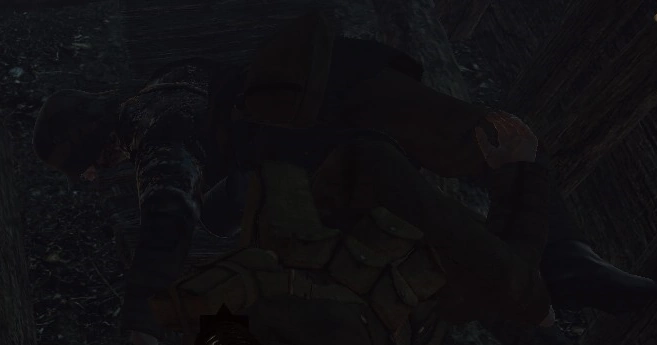 Leo Haerig | Historica Wiki | Fandom