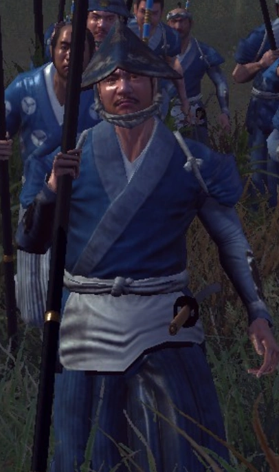 Tamura Hiramori | Historica Wiki | Fandom