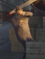 Zaccheo Cozzone | Historica Wiki | Fandom