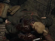 Marius Heisig | Historica Wiki | Fandom