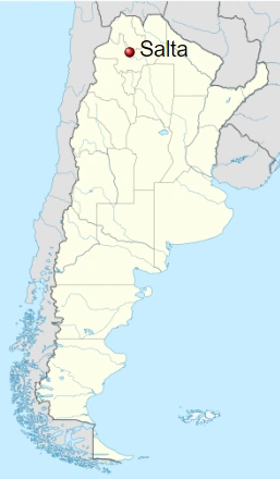 Salta | Historica Wiki | Fandom