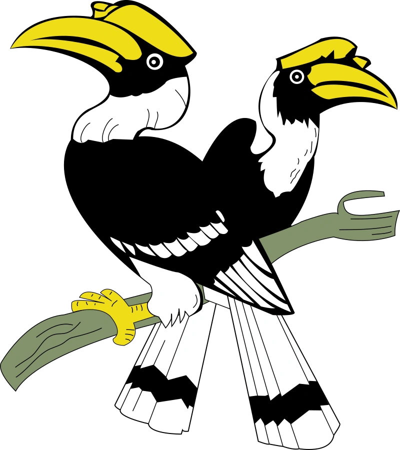 Chin National Front | Historica Wiki | Fandom