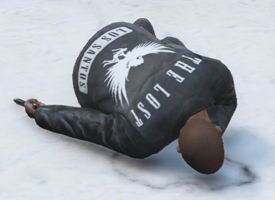 Steven A. Rocha | Historica Wiki | Fandom