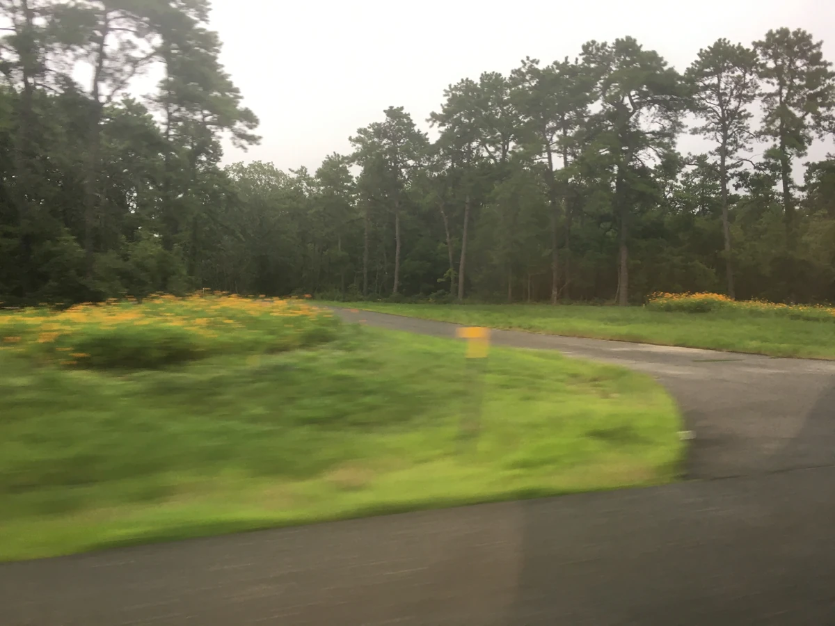 Waretown | Historica Wiki | Fandom