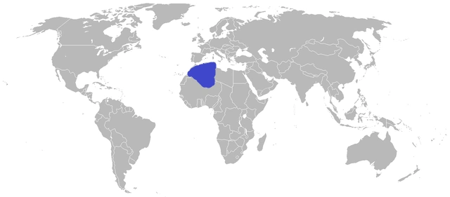 French North Africa | Historica Wiki | Fandom
