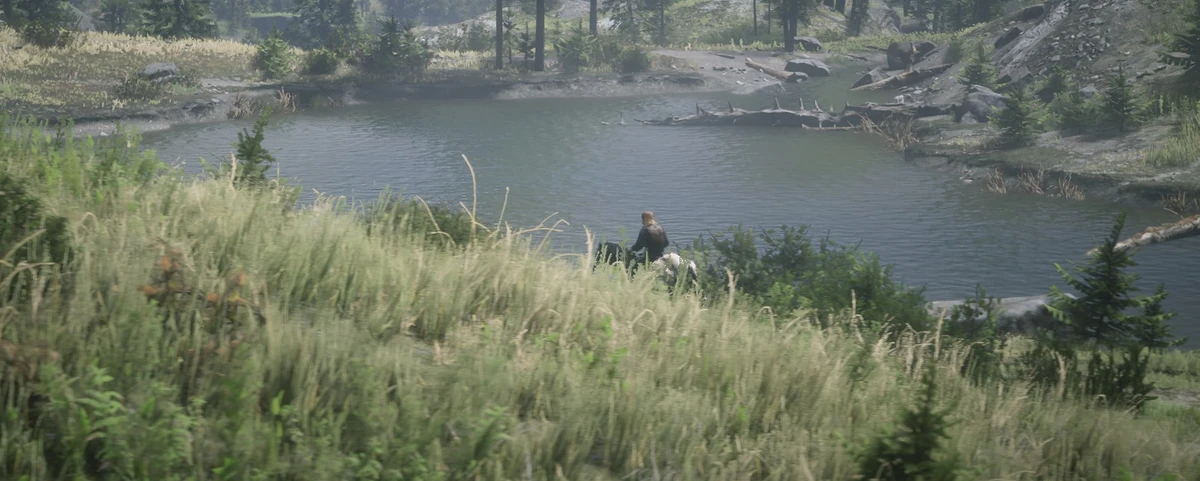 Cattail Pond | Historica Wiki | Fandom