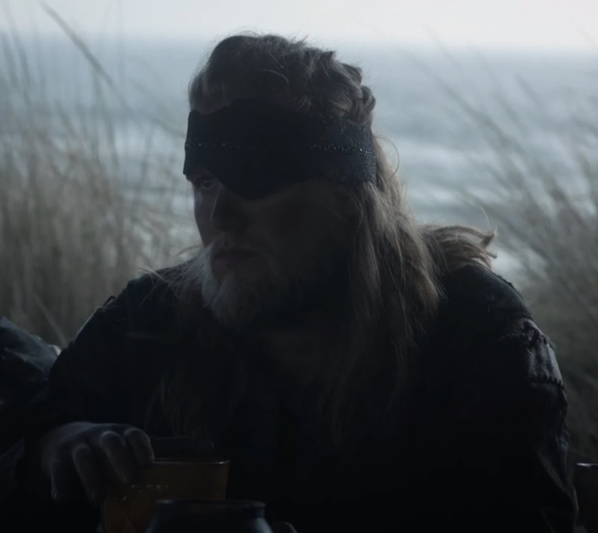 Sven the One-eyed | Historica Wiki | Fandom