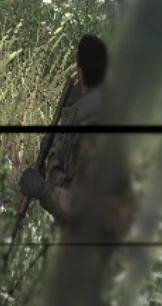 Vsevolod H. Yurchenko | Historica Wiki | Fandom