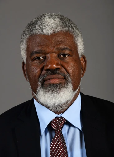 Russel Nsikayezwe Cebekhulu | Historica Wiki | Fandom