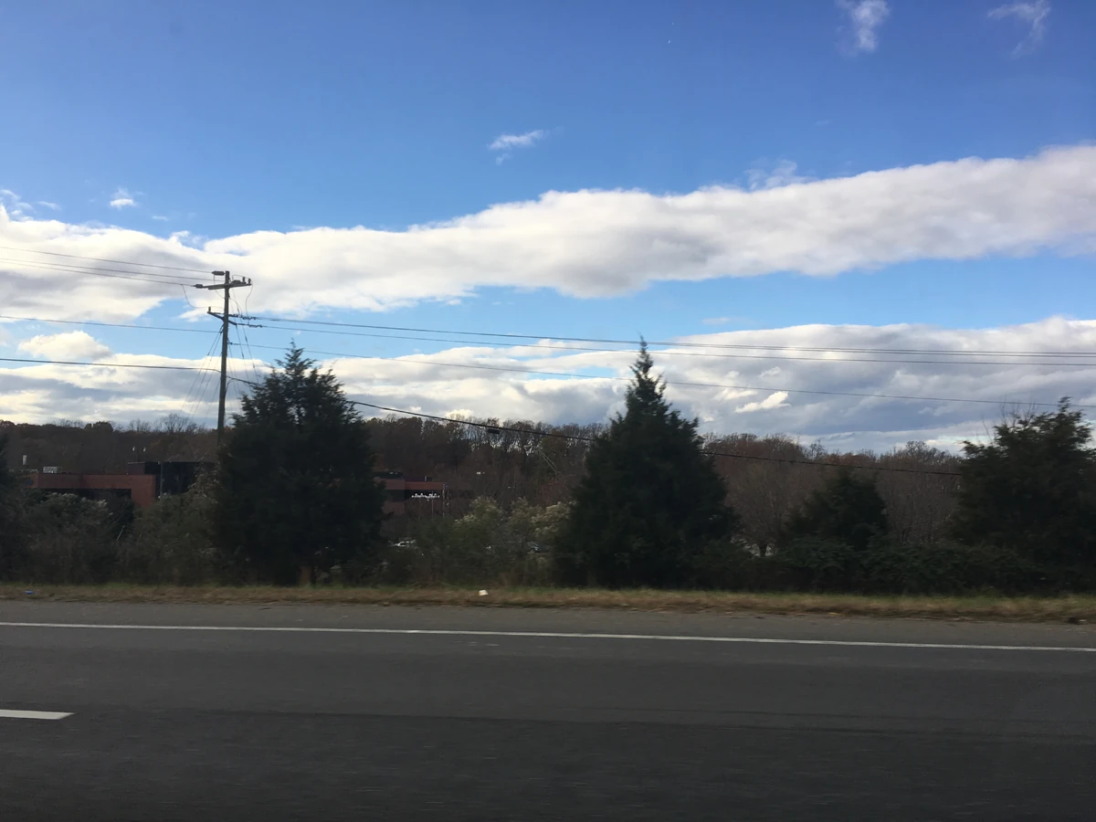 Berea, Virginia | Historica Wiki | Fandom