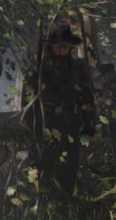 Delaney D. Woolcutt | Historica Wiki | Fandom