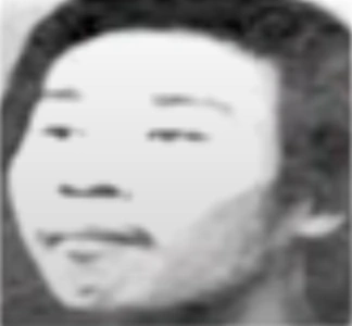 Chui Ping Wu | Historica Wiki | Fandom