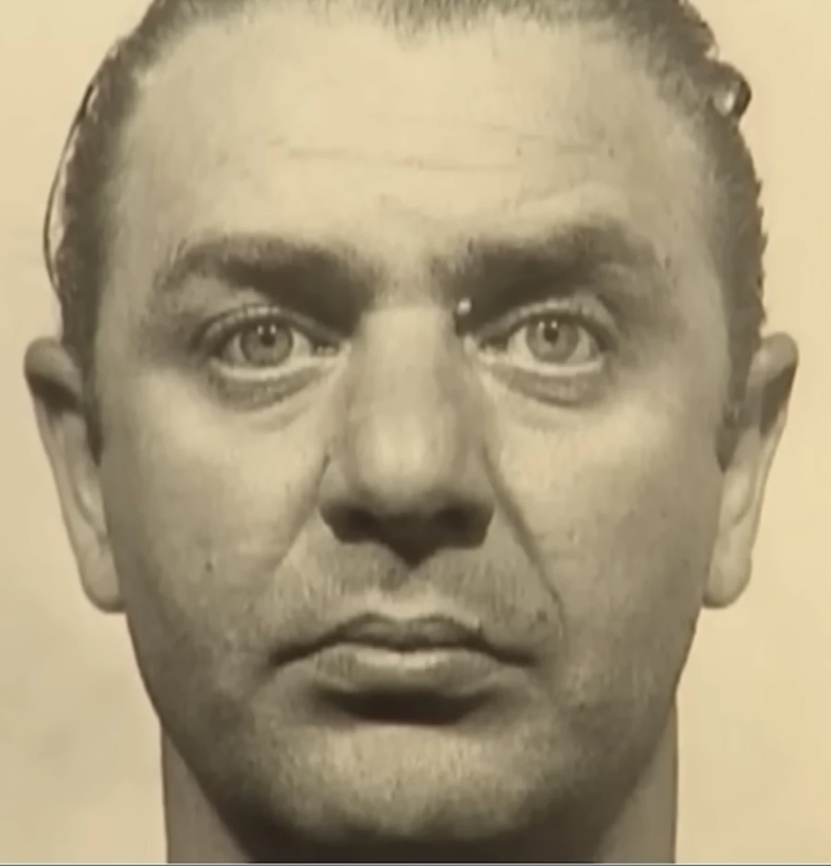 Frank Monte | Historica Wiki | Fandom