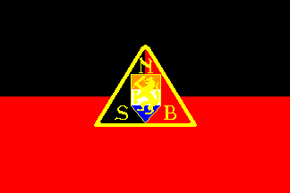 National Socialist Movement in the Netherlands | Historica Wiki | Fandom