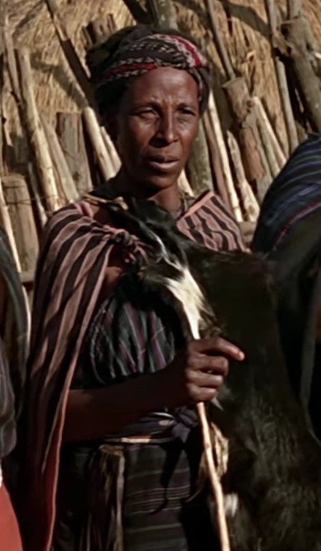 Cikizwa Siwani | Historica Wiki | Fandom