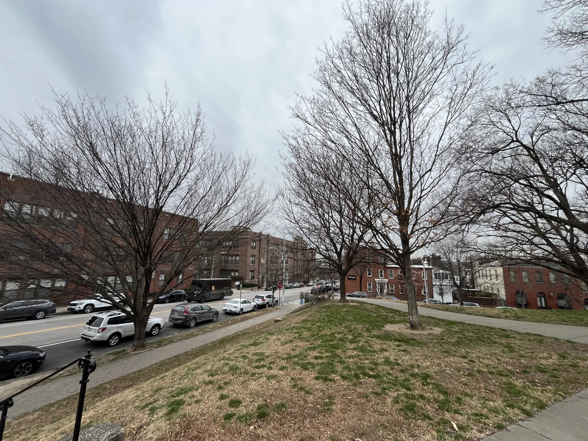 Federal Hill, Baltimore | Historica Wiki | Fandom