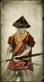 Spear Levy | Total War Wiki | Fandom