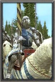 Portugese Knights | Total War Wiki | Fandom