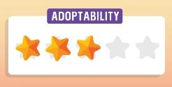 Adoptability - Official To The Rescue! Wiki